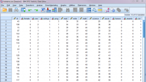 Customizing SPSS